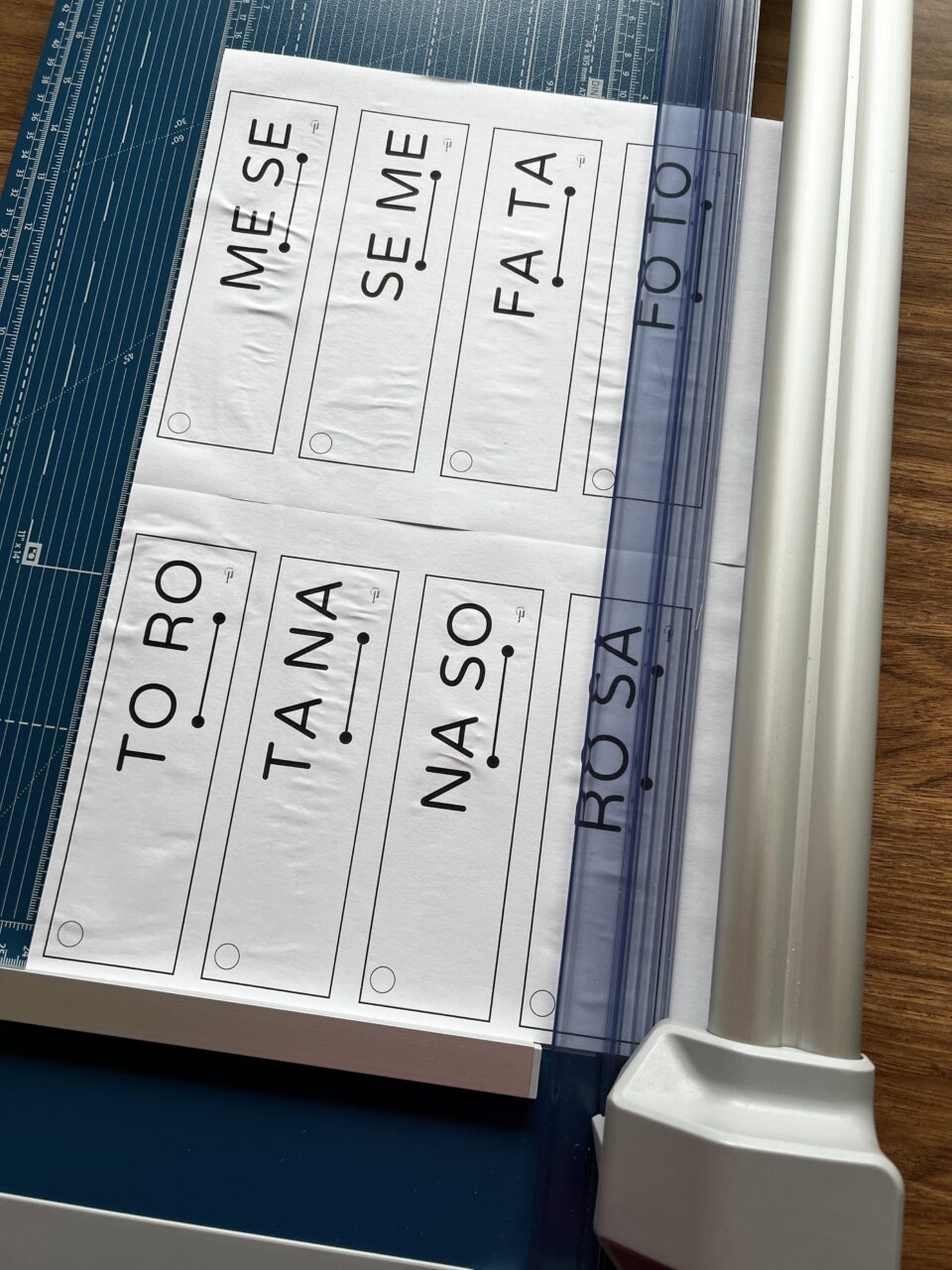 Liste di parole - LA MAESTRA ILARIA