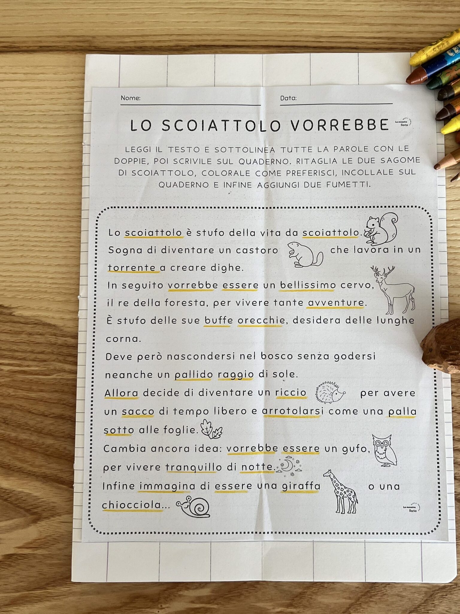 Lavoriamo con le doppie - LA MAESTRA ILARIA